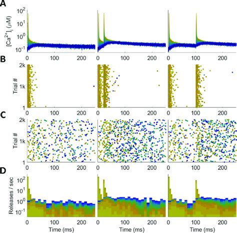 synchronous and asynchronous release in mcell color indicates distance