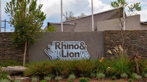 Bothongo Rhino And Lion Nature Reserve Easter Getaway Footnotes Media