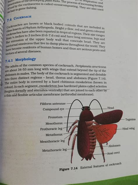 Earthworm Frog Cockroach Practice Question Solving Entermedschool Future Doctors Forums