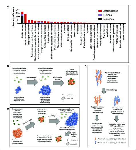 A Fgfr3 Gene Alterations By Cancer Type Based On Available Data