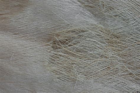 Premium Photo Full Frame Shot Of Cracked Pattern