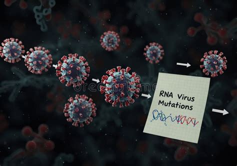 The Role Of Rna Dependent Rna Polymerase Fidelity In Shaping Rna Virus