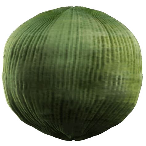 Flower Stem Pbr Texture A23d