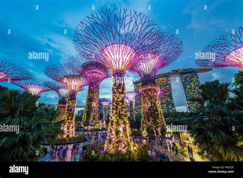 Supertrees At Gardens By The Bay Illuminated At Night Singapore Stock