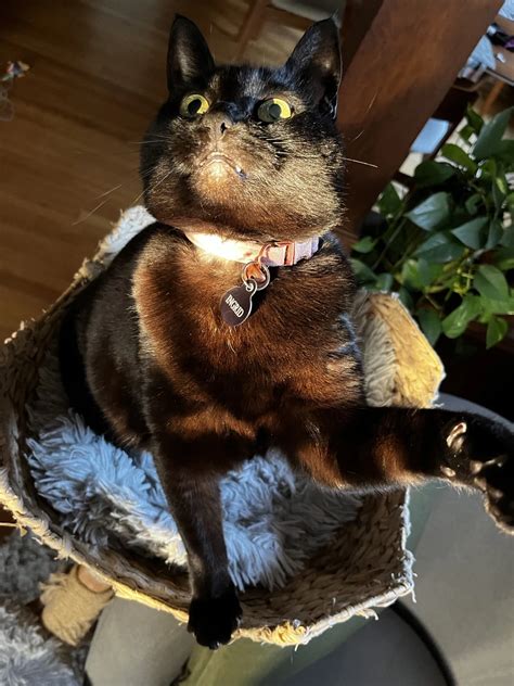 Slaps Incoming Scrolller Slaps Incoming Scrolller