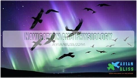 Bird Migration Facts Revealed 25 Mind Blowing Secrets You Never Knew