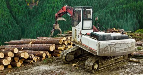 New Research Finds Canada Understating GHG Emissions From Logging Nature Canada