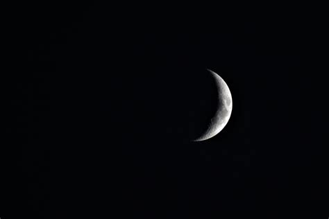 Jaunatis Visuotinė Lietuvių Enciklopedija