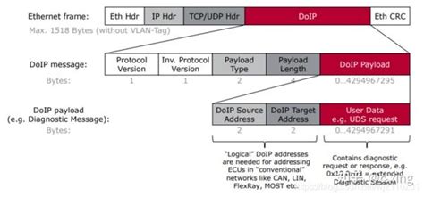 Autosaranddoip 知乎