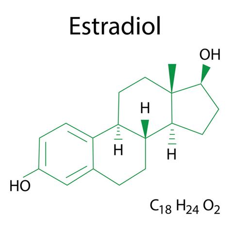 Testosterona Free Stock Vectors