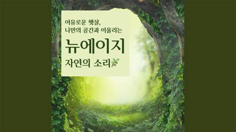 춤추는 그림자 Youtube