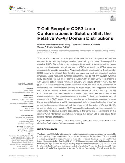 PDF T Cell Receptor CDR Loop Conformations in Solution Shift the Relative Vα Vβ Domain