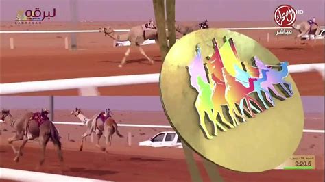 ش5 ندى لـ هجن زعبيل راشد محمد مروشد جائزة الملك عبدالعزيز للهجن 30 12 2024 حيل مفتوح 12 35 00