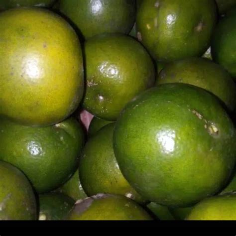 Jual Jeruk Peras 500gr Shopee Indonesia