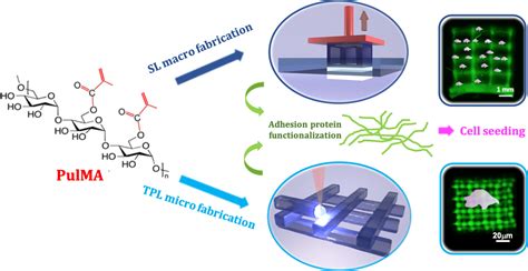 Why Drug Testing May Be The Most Important Application Of 3d Bioprinting The