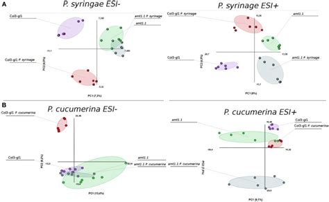 Non Supervised Principal Component Analysis Pca Analysis