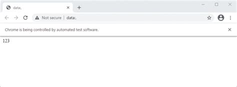 seleniumでjavascriptを実行した場合の変数のスコープ seleniumワールド