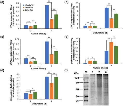 Cellulase And Xylanase Production Of The P Oxalicum Mutant ∆poxcbh