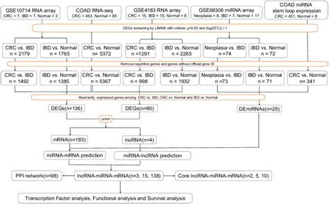 Workflow Of Our Bioinformatics Analyses In The Figure N Means
