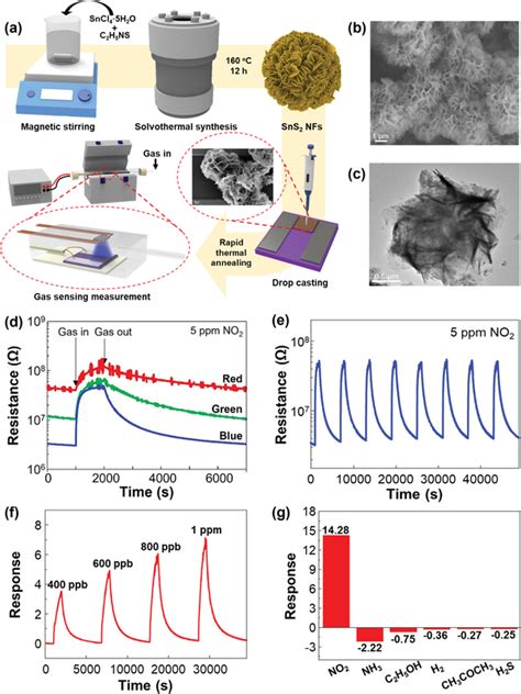 A Schematic Illustration Of Fabrication Procedure B Sem Image And C Download Scientific