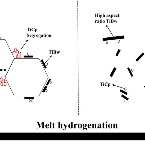Schematic Diagram Of Microstructure Evolution Of Tib Tic Ti 6al 4v