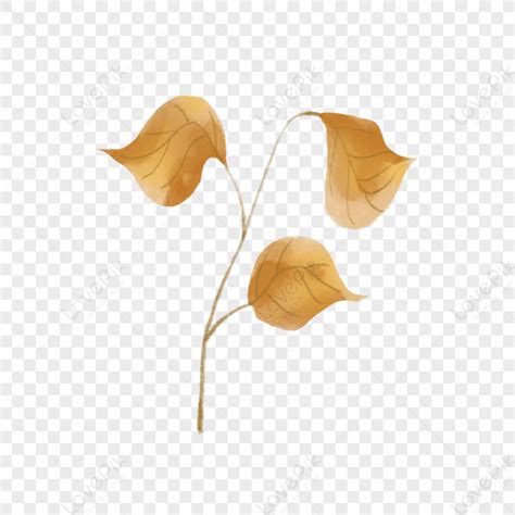 귀여운 잎 만화 여름과 가을 일러스트 요소 그림 황금기발한골든