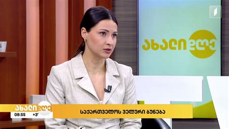 ახალიდღე საქართველოს ველური ბუნება Youtube