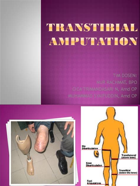 Tim Dosen Nur Rachmat Bpo Cica Trimandasari N Amd Op Muhammad