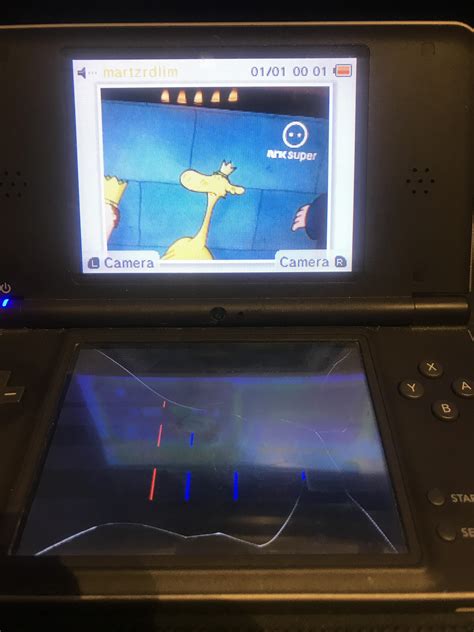 Does Anyone Have An Idea Of What In My Ds Is Damaged If Its Just The Screen Or Smthing And If