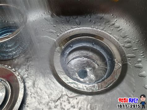 인천화장실냄새 시흥하수구냄새 안산싱크대냄새 제거 트랩 네이버 블로그