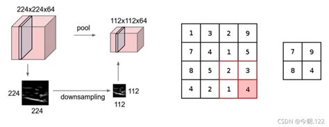Cnn基础教学pytorch代码实现cnnpytorch Csdn博客