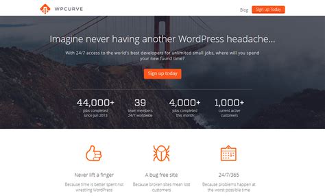6 Wordpress Maintenance Services For Busy Bloggers Themetrust