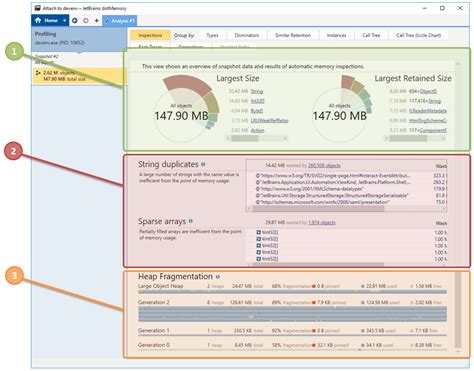 Inspections View Dotmemory Documentation