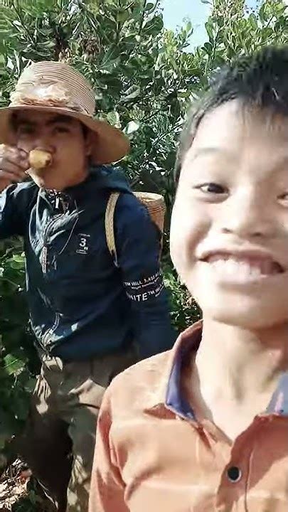 Anh Em Ta Cúng Nhau đi Hái điều Nào Youtube