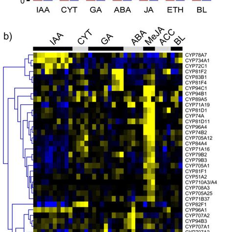 Hormone Responsive Expression Microarray Expression Data Were