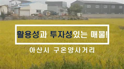 저렴한 가격에 수익성까지 두 마리 토끼를 한번에 잡을 수 있는 매물 Youtube