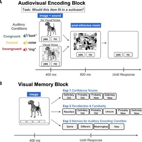 a the audiovisual encoding task used for all three experiments