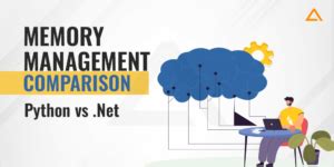 Python Vs NET Which One Is Best To Choose