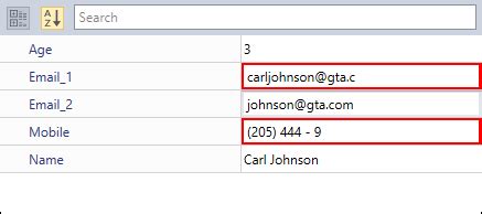 Built In Editor In WPF PropertyGrid Control Syncfusion
