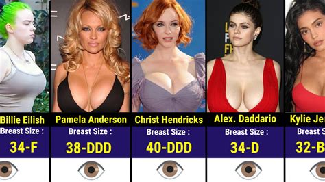 Hollywood Hottest Bra Size Revealed Youtube