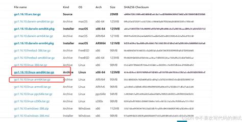 Bash Usrlocalgobingo 无法执行二进制文件 Bash 无法执行二进制文件 Csdn博客