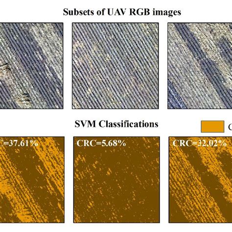 Examples Of Support Vector Machine Svm Classification Results The Download Scientific