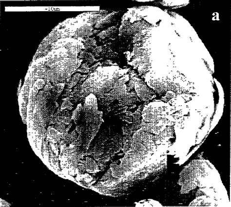 Modified Method For Lithium Ion Cell Negative Electrode Material Eureka Patsnap