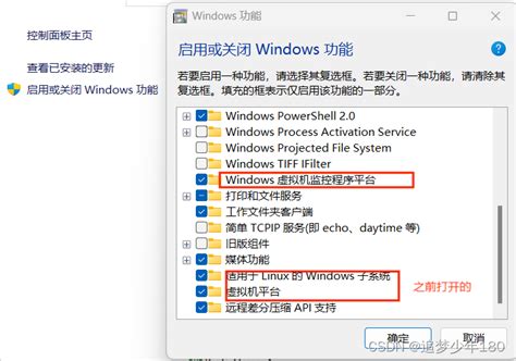 wsl安装及platform sh cli安装遇到的问题 如何在windosw系统下安装 platformsh cli csdn博客