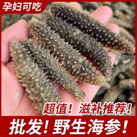 Wild Dried Sea Cucumber Black Sea Cucumber Fresh Sea Cucumber Dried