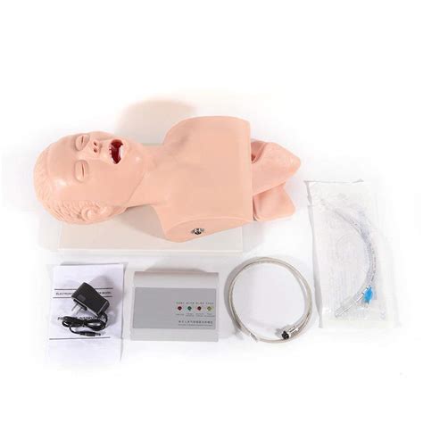 Buy Ddt Human Anatomy Electronic Tracheal Intubation Manikin Teaching Model Tracheal Intubation
