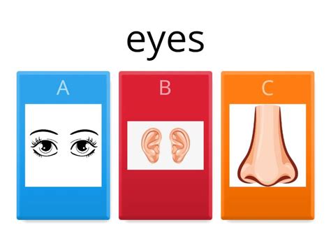 Go Getter About Me Unit Quiz