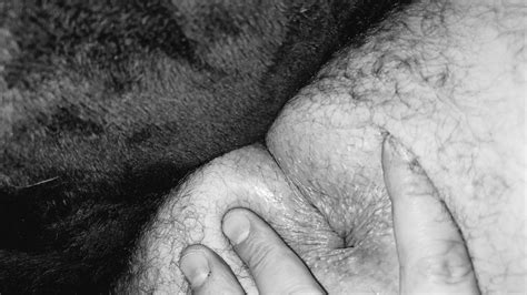 Kostenlose Schwule Porno Bilder Schwanzbilder Erotische Sex Fotos