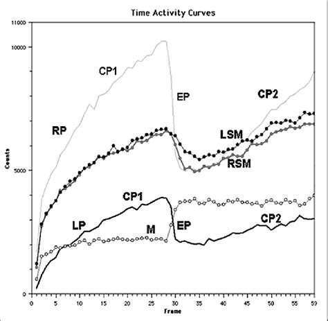 Time Activity Curve Of The Scintigraphic Examination Of The Salivary