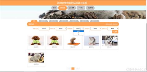 Springboot流浪宠物救助网站设计与实现92soy（程序源码数据库调试部署开发环境） Csdn博客